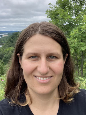 Why cities around Wisconsin are feeling the heat | Nelson Institute for ...