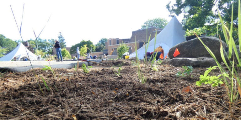 Turning Ditches into Rain Gardens | Nelson Institute for Environmental Studies