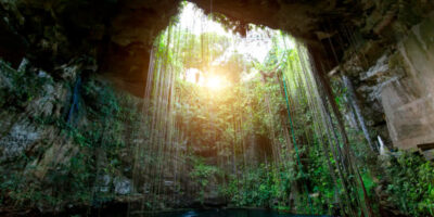 Now Showing: Maya Land: Listening to the Bees | Nelson Institute for Environmental Studies