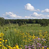 UW–Madison Arboretum designated a National Historic Landmark | Nelson ...