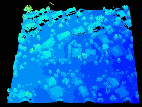 Mapping Urban Trees, One Pixel at a Time | Nelson Institute for ...
